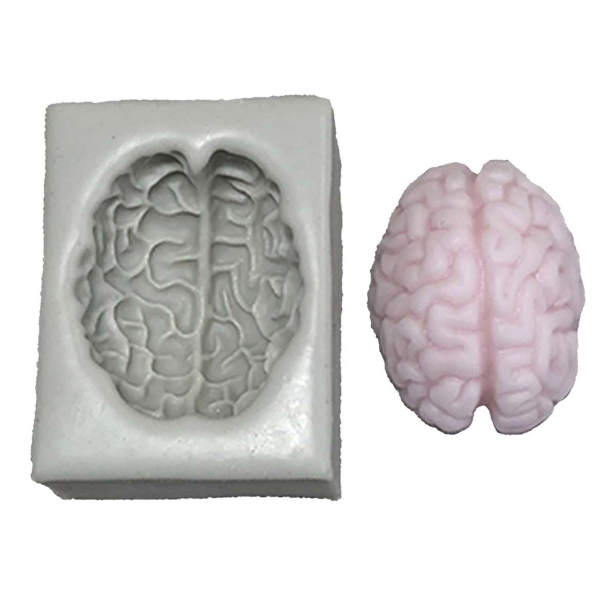 Brain Anatomy Realistic Silicone Mold | Charm Silicone Mold | Mini ...