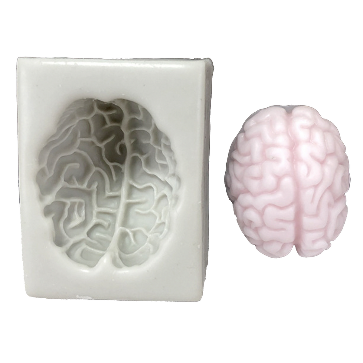 Brain Anatomy Realistic Silicone Mold | Charm Silicone Mold | Mini ...